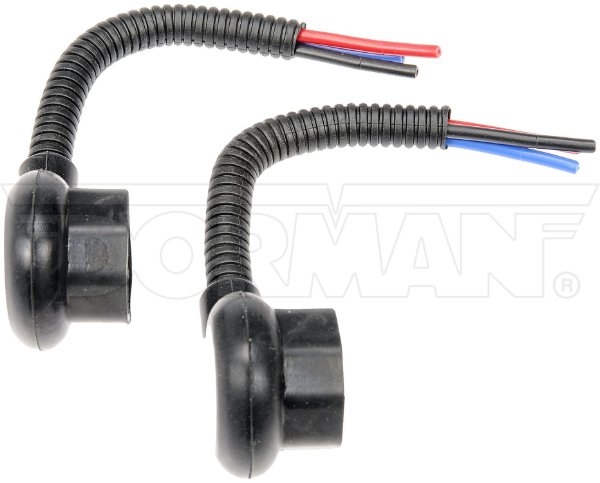 Dorman Headlight Socket 84790 | Wofford Truck Parts